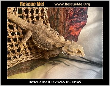 - Oregon Reptile/Amphibian Rescue - ADOPTIONS - Rescue Me!