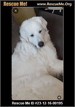 - Nebraska Dog Rescue - ADOPTIONS - Rescue Me!