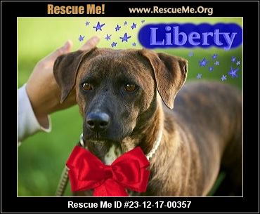 - New Jersey Mutt Rescue - ADOPTIONS - Rescue Me!