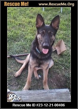 - Texas German Shepherd Rescue - ADOPTIONS - Rescue Me!