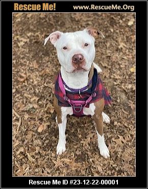 - Virginia Dog Rescue - ADOPTIONS - Rescue Me!