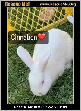 - California Rabbit Rescue - ADOPTIONS - Rescue Me!