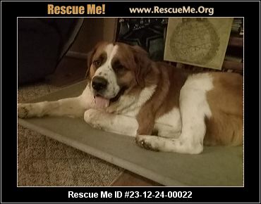 - New York Dog Rescue - ADOPTIONS - Rescue Me!