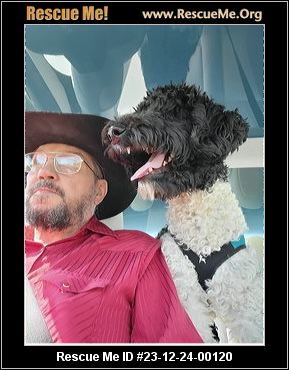 - Kansas Dog Rescue - ADOPTIONS - Rescue Me!