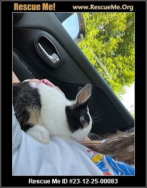 - Maryland Rabbit Rescue - ADOPTIONS - Rescue Me!