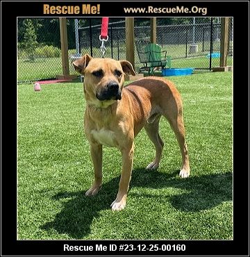 - Georgia Boxer Rescue - ADOPTIONS - Rescue Me!