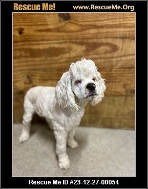 - Indiana Dog Rescue - ADOPTIONS - Rescue Me!