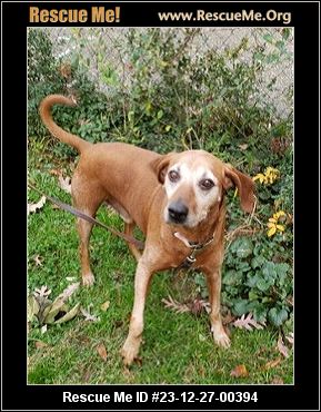 - Maryland Dog Rescue - ADOPTIONS - Rescue Me!