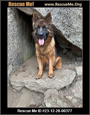 - Colorado Dog Rescue - ADOPTIONS - Rescue Me!