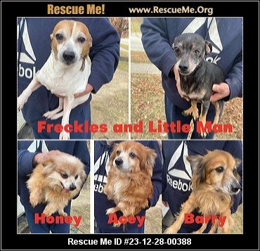 - Indiana Dog Rescue - ADOPTIONS - Rescue Me!