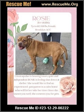 - New York Dog Rescue - ADOPTIONS - Rescue Me!