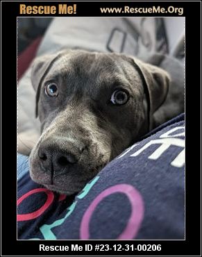 - Indiana Dog Rescue - ADOPTIONS - Rescue Me!