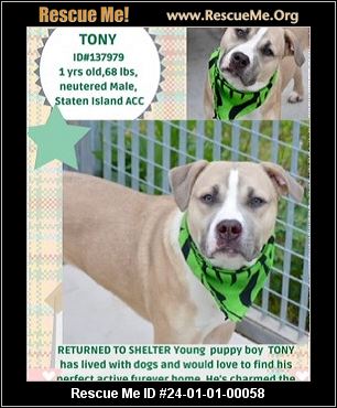 - New York Dog Rescue - ADOPTIONS - Rescue Me!
