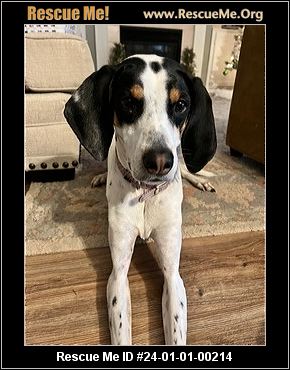 - Indiana Dog Rescue - ADOPTIONS - Rescue Me!