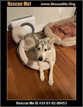 - Virginia Siberian Husky Rescue - ADOPTIONS - Rescue Me!