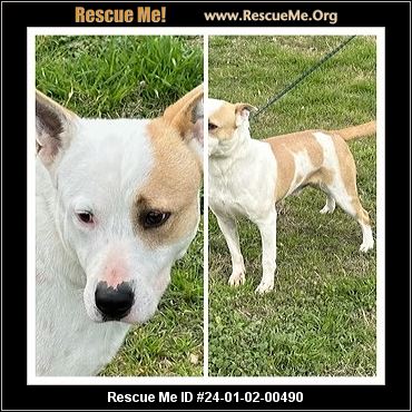 - North Carolina Dog Rescue - ADOPTIONS - Rescue Me!