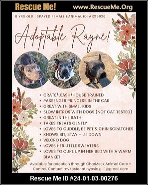 - North Carolina Dog Rescue - ADOPTIONS - Rescue Me!