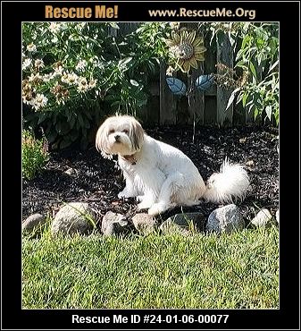 - New Jersey Dog Rescue - ADOPTIONS - Rescue Me!