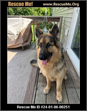 - Michigan German Shepherd Rescue - ADOPTIONS - Rescue Me!