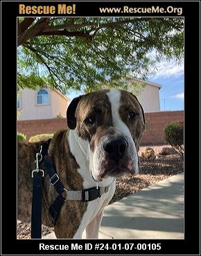 - Nevada Dog Rescue - ADOPTIONS - Rescue Me!