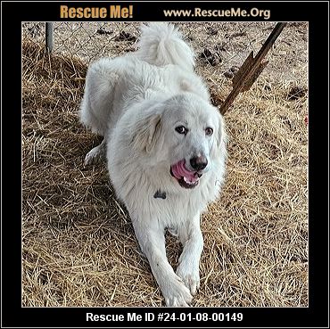 - Kansas Dog Rescue - ADOPTIONS - Rescue Me!