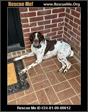 - South Carolina Dog Rescue - ADOPTIONS - Rescue Me!