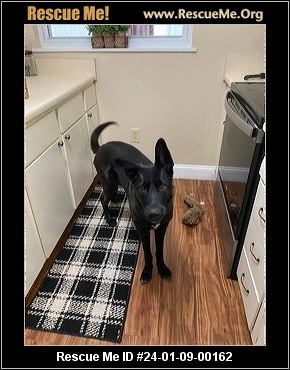 - West Virginia Dog Rescue - ADOPTIONS - Rescue Me!