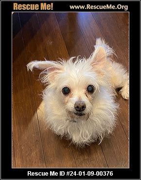 - Delaware Dog Rescue - ADOPTIONS - Rescue Me!