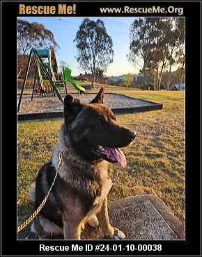 - Australia Dog Rescue - ADOPTIONS - Rescue Me!