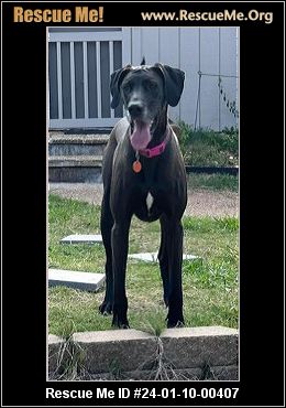 - Alabama Dog Rescue - ADOPTIONS - Rescue Me!