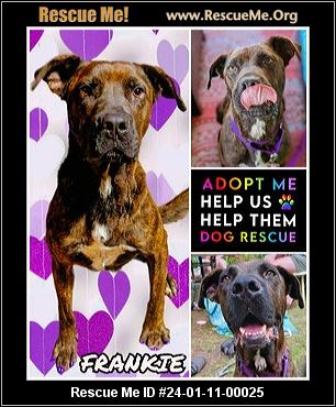 - Michigan Dog Rescue - ADOPTIONS - Rescue Me!