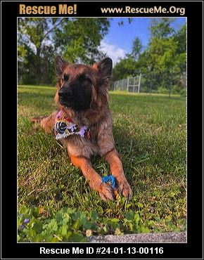 - Alabama Dog Rescue - ADOPTIONS - Rescue Me!