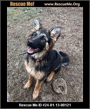 - Oregon Dog Rescue - ADOPTIONS - Rescue Me!