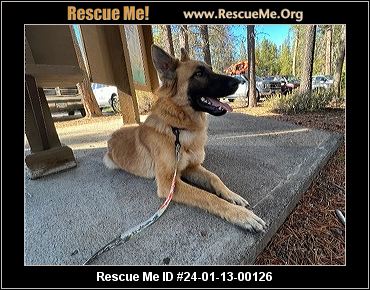 - Oregon Dog Rescue - ADOPTIONS - Rescue Me!