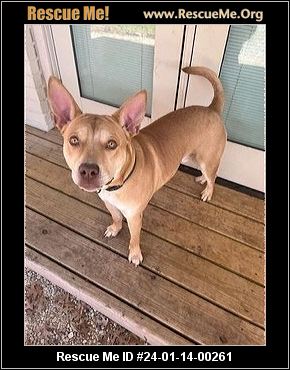 - Wisconsin Dog Rescue - ADOPTIONS - Rescue Me!