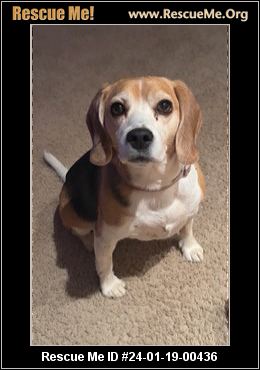 - North Dakota Dog Rescue - ADOPTIONS - Rescue Me!