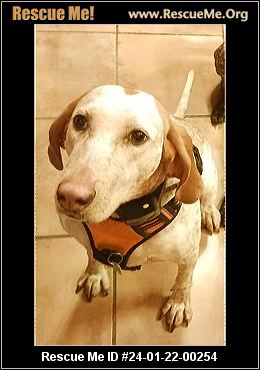 - Pennsylvania Dog Rescue - ADOPTIONS - Rescue Me!