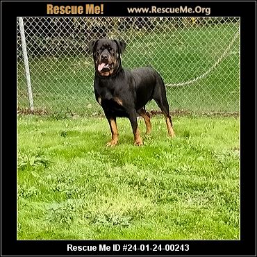 - Oregon Rottweiler Rescue - ADOPTIONS - Rescue Me!