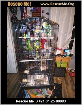 - Pennsylvania Pet Bird Rescue - ADOPTIONS - Rescue Me!