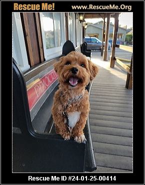 - Oregon Dog Rescue - ADOPTIONS - Rescue Me!