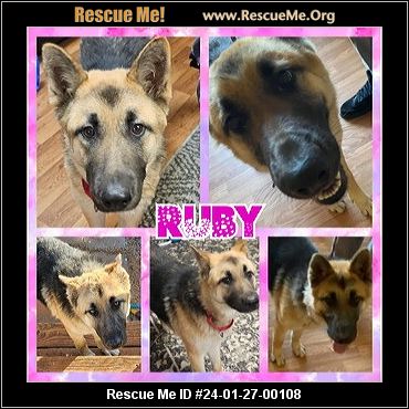 - Mercy Rescue Haven - SC - AVAILABLE PETS