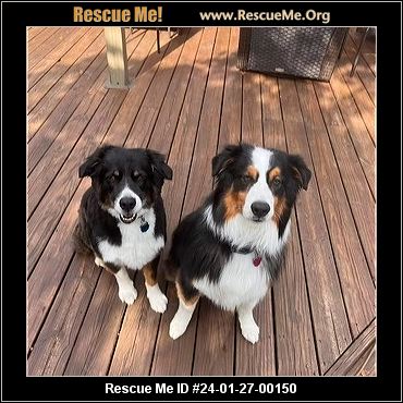 - Indiana Dog Rescue - ADOPTIONS - Rescue Me!