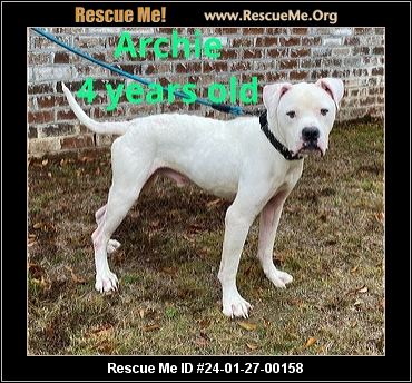 - Alabama Boxer Rescue - ADOPTIONS - Rescue Me!