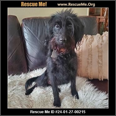 - Alabama Dog Rescue - ADOPTIONS - Rescue Me!