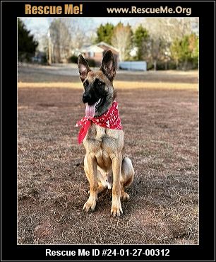 - South Carolina Dog Rescue - ADOPTIONS - Rescue Me!