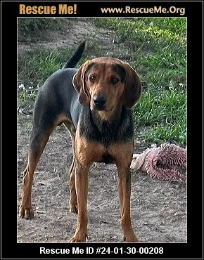 - Alabama Dog Rescue - ADOPTIONS - Rescue Me!