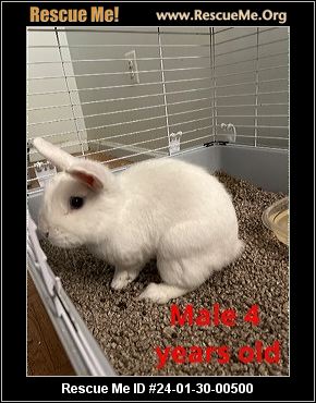 - Virginia Rabbit Rescue - ADOPTIONS - Rescue Me!