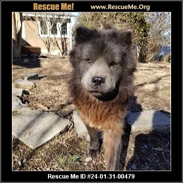 - North Carolina Dog Rescue - ADOPTIONS - Rescue Me!
