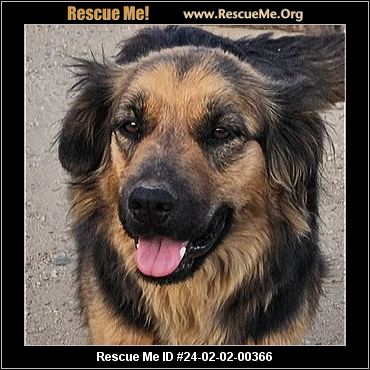 - The Little Red Dog, Inc. - Anaheim, CA - AVAILABLE PETS