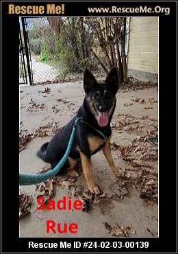 - Alabama Dog Rescue - ADOPTIONS - Rescue Me!